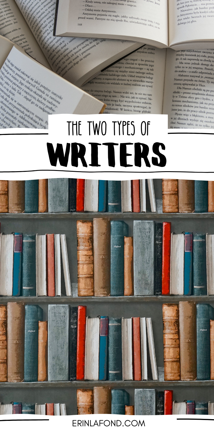 Are You a Plotter or a Pantser Writer? – Erin Lafond